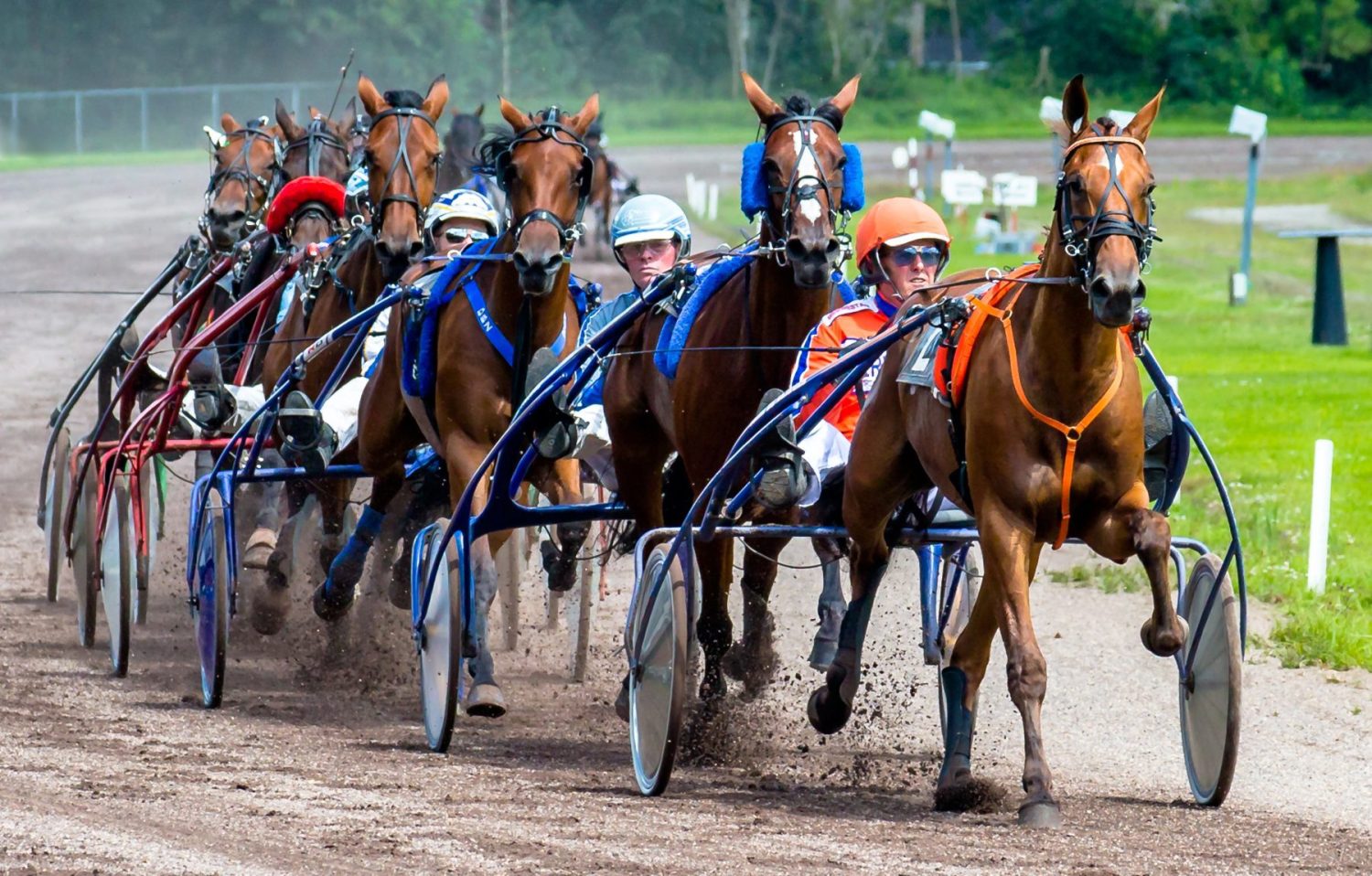 Florida: Dan Daley bill seeks to revive harness racing industry — CDC ...
