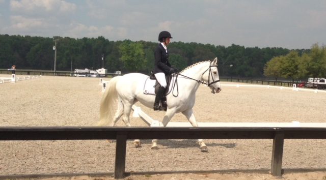 Derby dreams, disappointments, and horsemens’ hopes — CDC Gaming