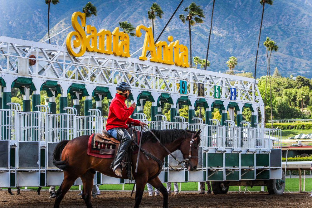 California track’s ‘Racing on Demand’ gaming machines last just two ...