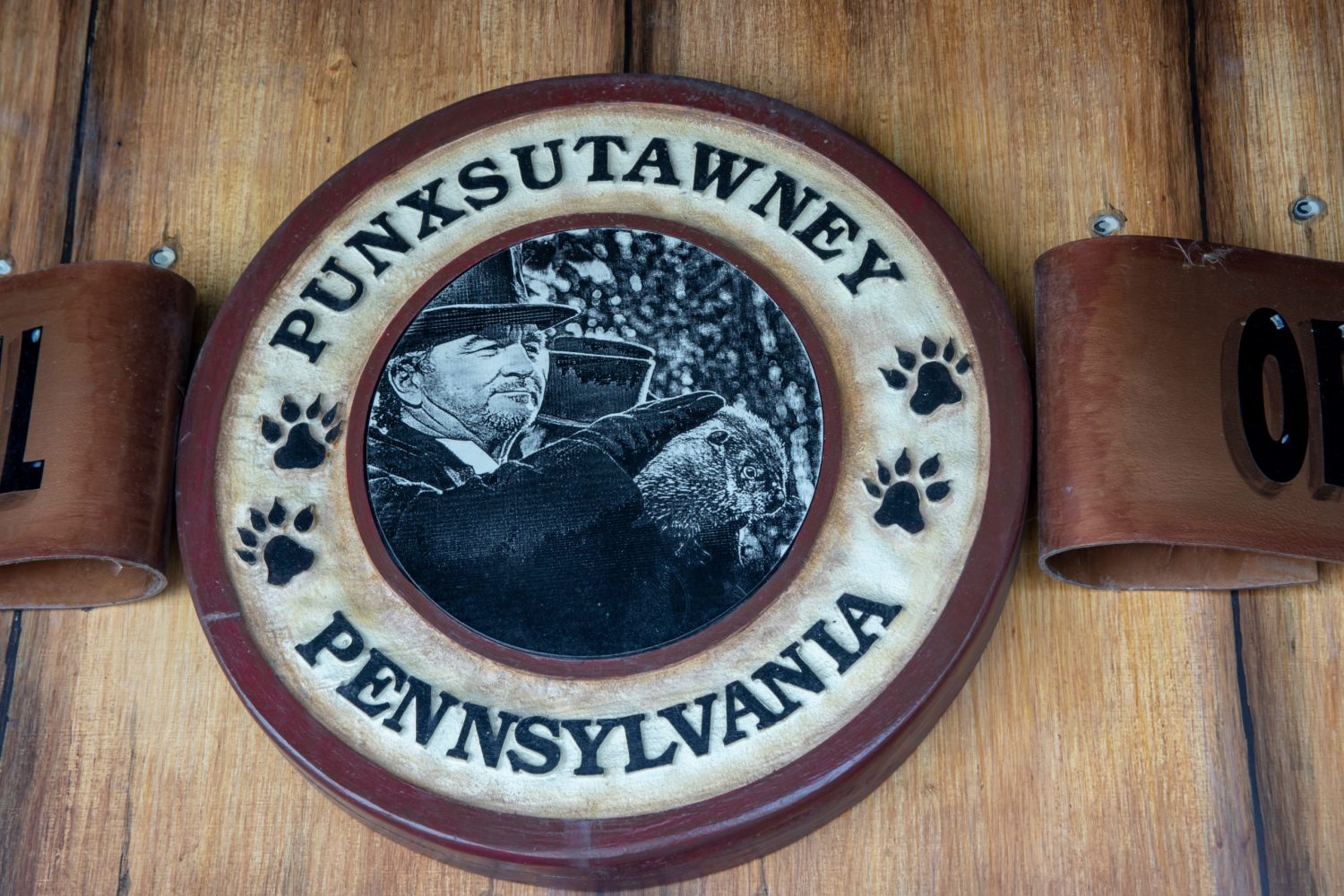 Pennsylvania: Punxsutawney Phil doesn’t see his shadow, forecasting ...