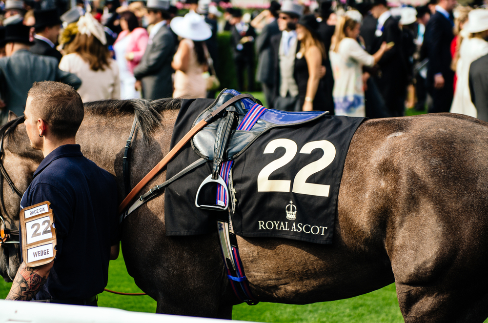 British Horseracing Authority establishes gambling sponsorship code of ...