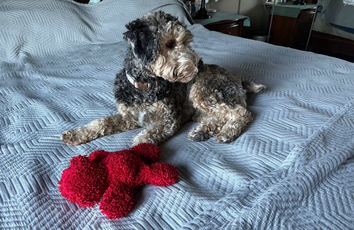 Frank Floor Talk: Let's call a meeting — CDC Gaming